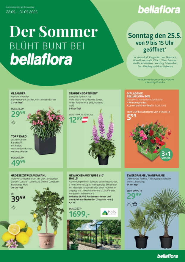 bellaflora ᐉ alle Filialen und Öffnungszeiten online - wogibtswas.at