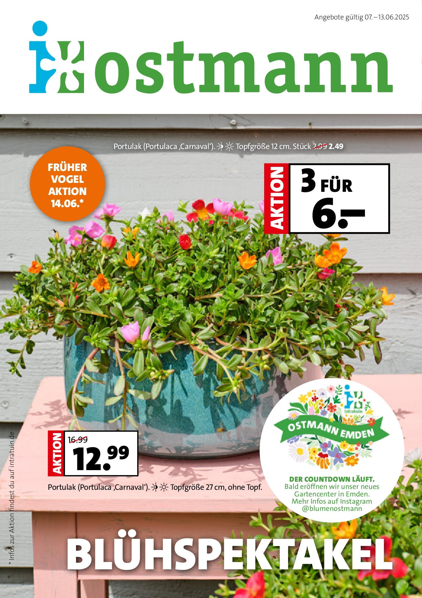 Blumen Ostmann GmbH Prospekte gültig vom 07.06. bis 13.06. ᐉ Online Angebote der Woche ...