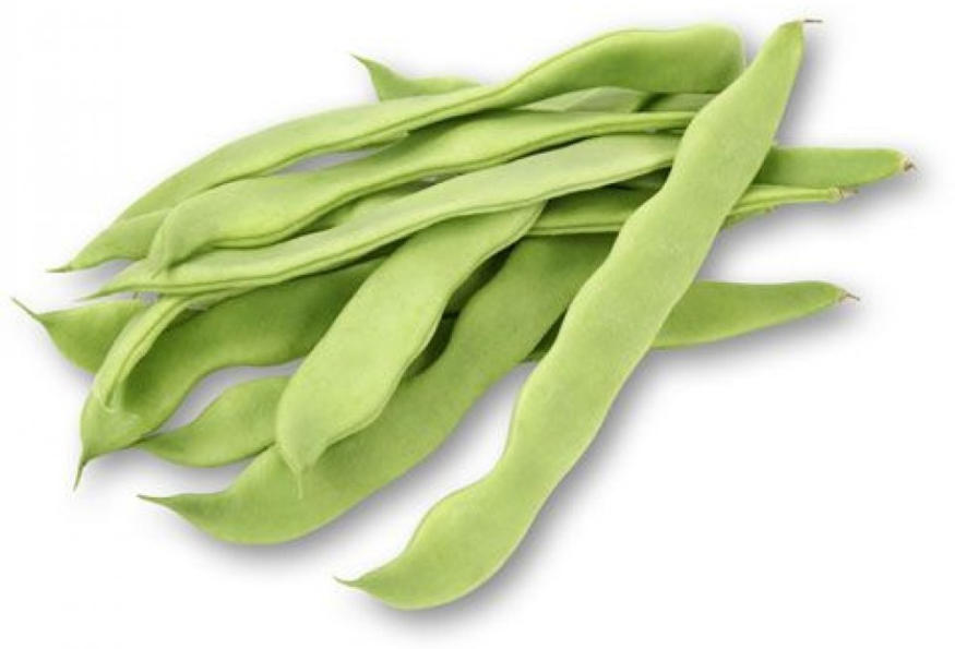 wogibtswas.at - Frische Fisolen breit € 1,49 statt € 1,99 bei PENNY